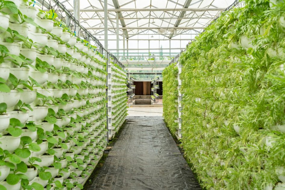 The Global Future of Vertical Farming (2025–2035): A Scenario Analysis ...